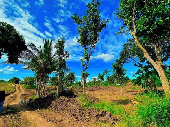 Gamefowl Teepee [28 Properties] (August 2024) on OnePropertee.com