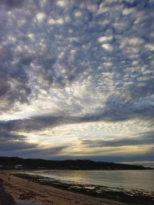 Little Hawaii Siargao [831 Properties] (September 2024) on OnePropertee.com