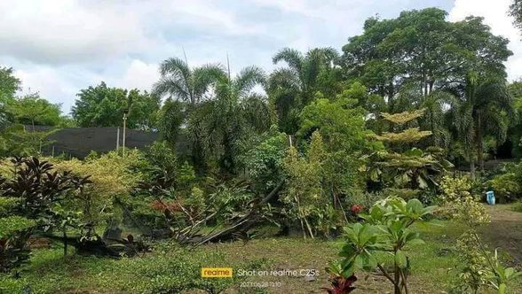 Agricultural Farm Lot For Sale Calauan Laguna [49 Properties ...