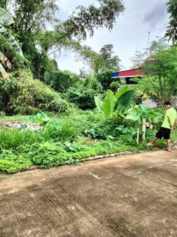 Subdivision Properties For Sale Cebu [1,159 Properties] (May 2025) on ...