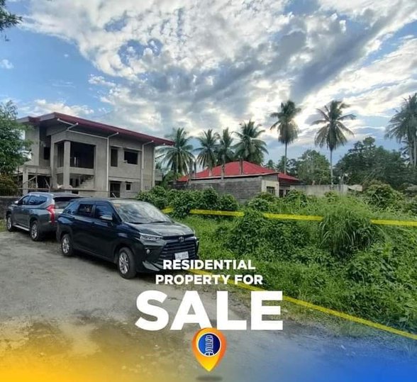 Clean Title Lot For Sale Tagum Davao Del Norte [189 Properties] (June ...