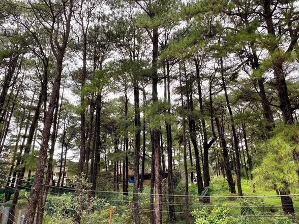 5 Bedroom Single Detached House For Sale Baguio Benguet [54 Properties ...