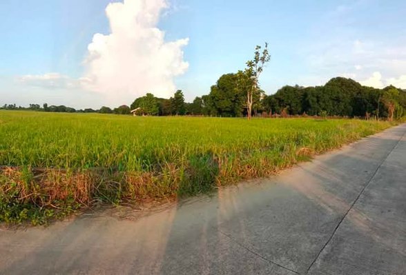 26 Barangay Of Victoria Tarlac [20,609 Properties] (May 2025) on ...