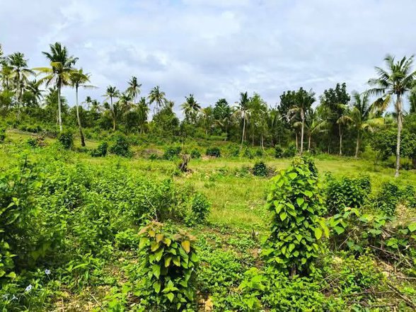 Converge 700 Pesos [6,070 Properties] (April 2025) on OnePropertee.com