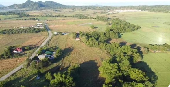 Residential Farm Lot For Sale Aguilar Pangasinan [50 Properties] (April ...