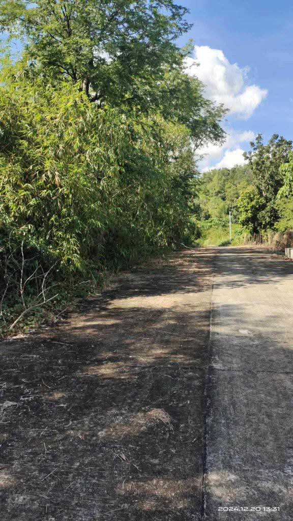 Residential Farm For Sale Alaminos Pangasinan [50 Properties] (May 2025 ...