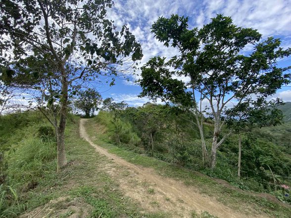 Foreclosed Farm Lot For Sale Tanay Rizal [42 Properties] (July 2025) on ...