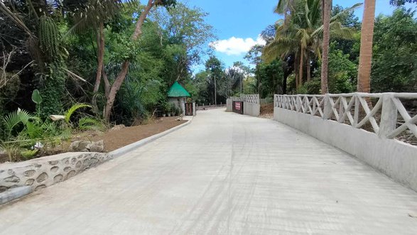 100 Hectares Farm Lot For Sale Philippines [13,155 Properties] (October ...