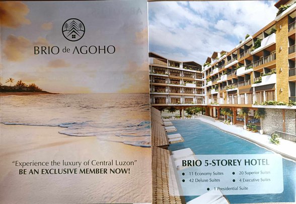 Agoho Tree In The Philippines [20,610 Properties] (December 2024) on ...