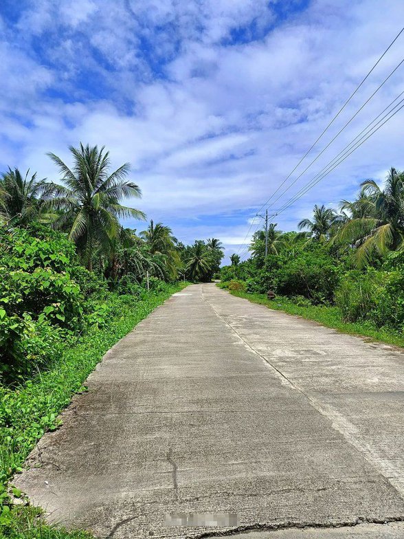 Lot Oras Eastern Samar [57,402 Properties] (September 2025) on ...