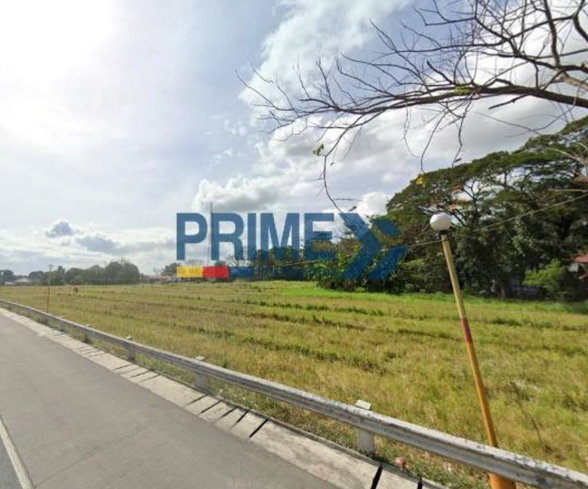 Guyong Guyong Tree [2 614 Properties] October 2024 On