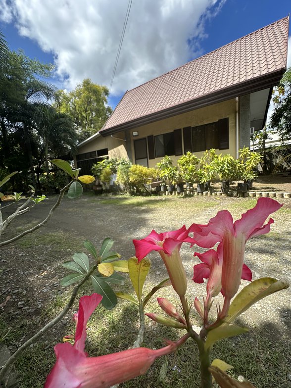 Mangga Tree Panabo [3,861 Properties] (September 2025) on OnePropertee.com