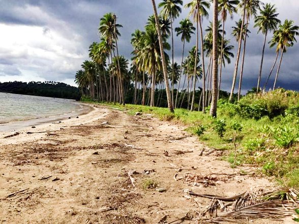 Canipaan Rizal Palawan [1 Property] (July 2022) on OnePropertee.com