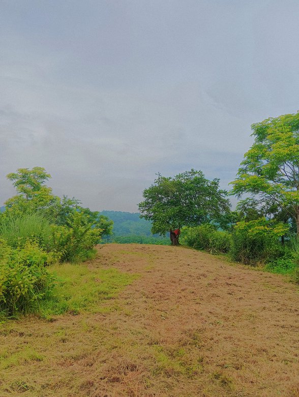 Farm Lot For Sale Norzagaray Bulacan [102 Properties] (July 2023) on ...