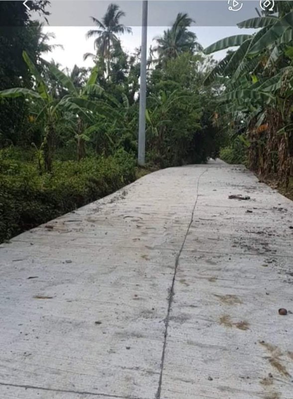 Kayquit Indang Cavite Properties [18 Properties] (January 2025) on ...