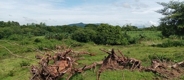 Farm Resort In Rizal [7,369 Properties] (November 2022) on OnePropertee.com