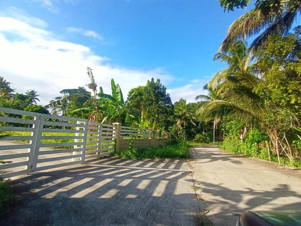 Foreclosed Farm Lot For Sale Philippines [608 Properties] (May 2025) on ...
