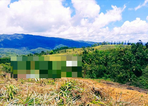 Residential Farm Lot For Sale Tanay Rizal [351 Properties] (August 2025 ...