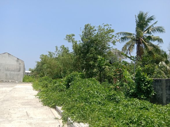 Joyao Joyao Numancia Aklan Properties [60 Properties] (April 2025) on ...