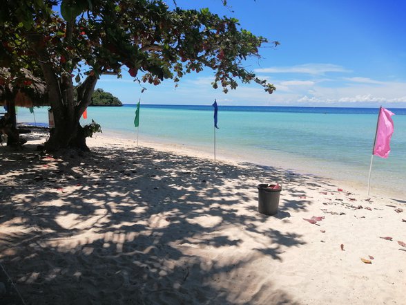 Residential Lot For Sale Pilar Cebu [419 Properties] (August 2024) on ...