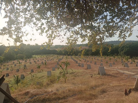 How Many Hectares Bea Alonzo Farm In Zambales [8,447 Properties] (April ...