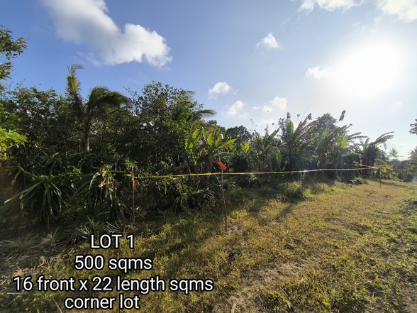500 Sqm Lot For Sale 🚜 [24,625 Properties] (April 2024) on OnePropertee.com