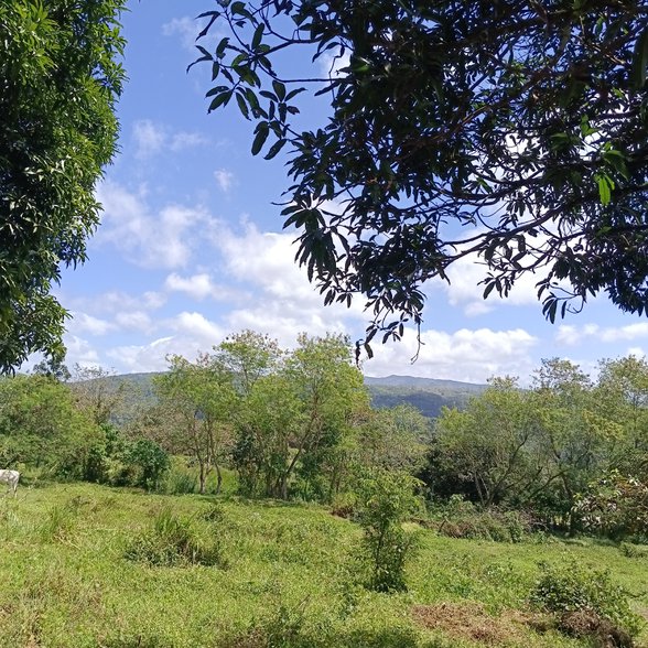 Residential Farm Lot For Sale Tanay Rizal 🚜 [207 Properties] (February ...