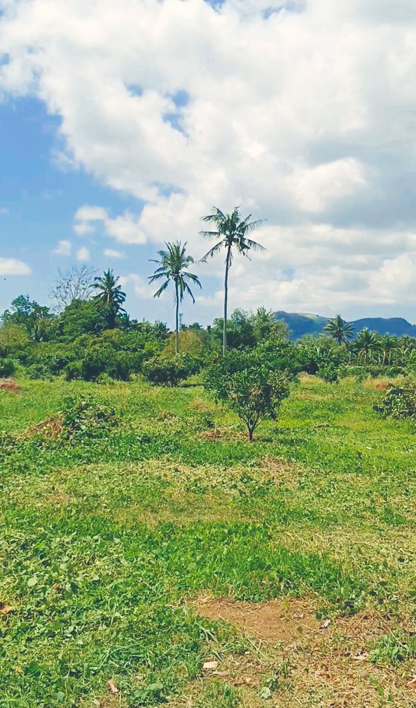 Best Lot For Sale Santa Maria Laguna [21 Properties] (January 2026) on ...