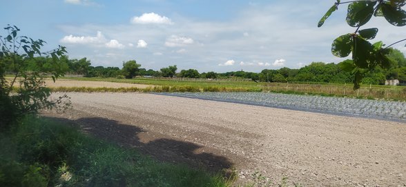 Agricultural Farm Lot For Sale Santa Rita Pampanga [69 Properties ...