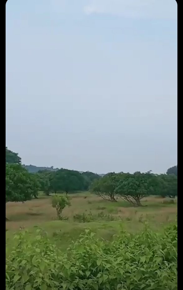 Bani Tree Philippines [20,631 Properties] (December 2024) on ...