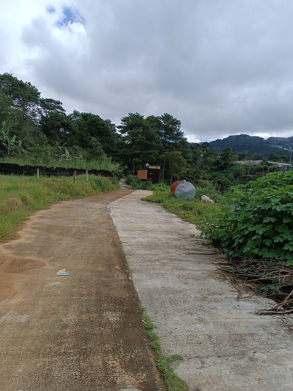 10 Bedroom House And Lot For Sale Baguio Benguet [59,712 Properties ...