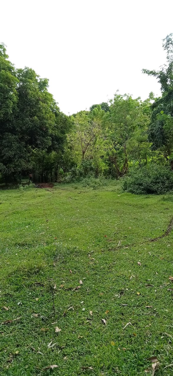 Bayugo Jalajala Rizal Properties [52 Properties] (December 2025) on ...