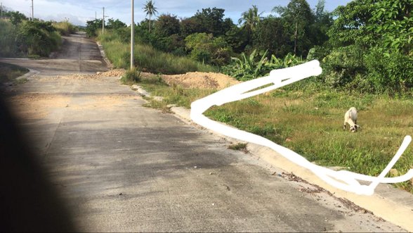 Caceres Heights Lot For Sale Naga Cebu [240 Properties] (May 2025) on ...