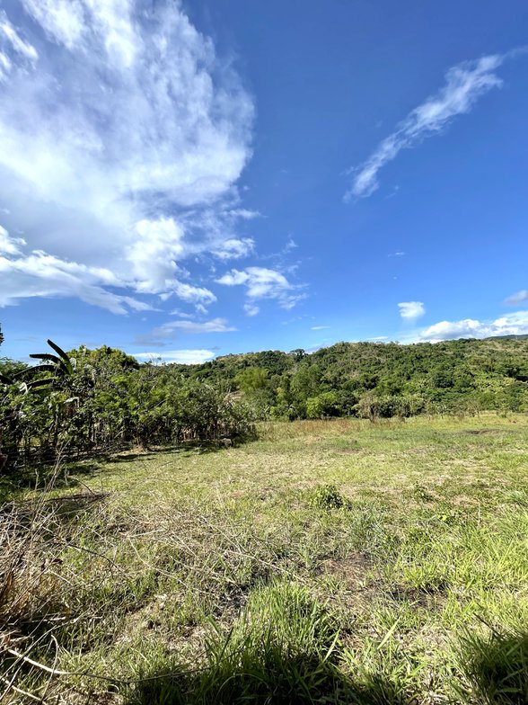 Farmko Owner [14,514 Properties] (January 2026) on OnePropertee.com