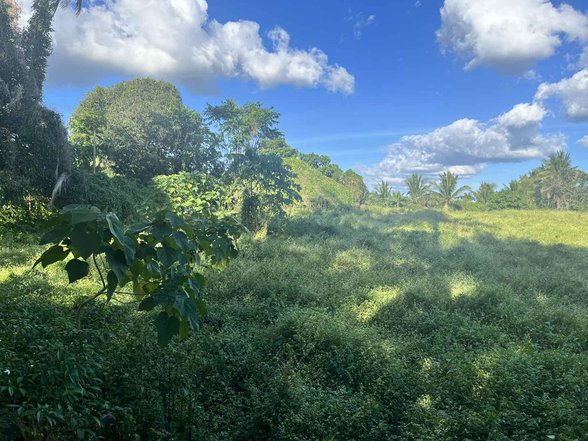 Residential Farm For Sale Bauan Batangas [1 Property] (July 2024) on ...