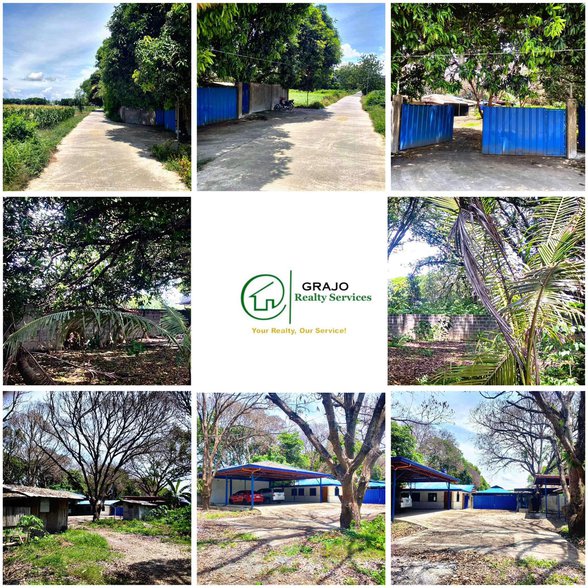 Biogas Piggery [147 Properties] (February 2025) on OnePropertee.com