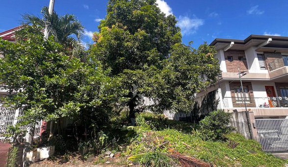 Spring Country Phase 2 By Filinvest Quezon City Photos [34,298 ...