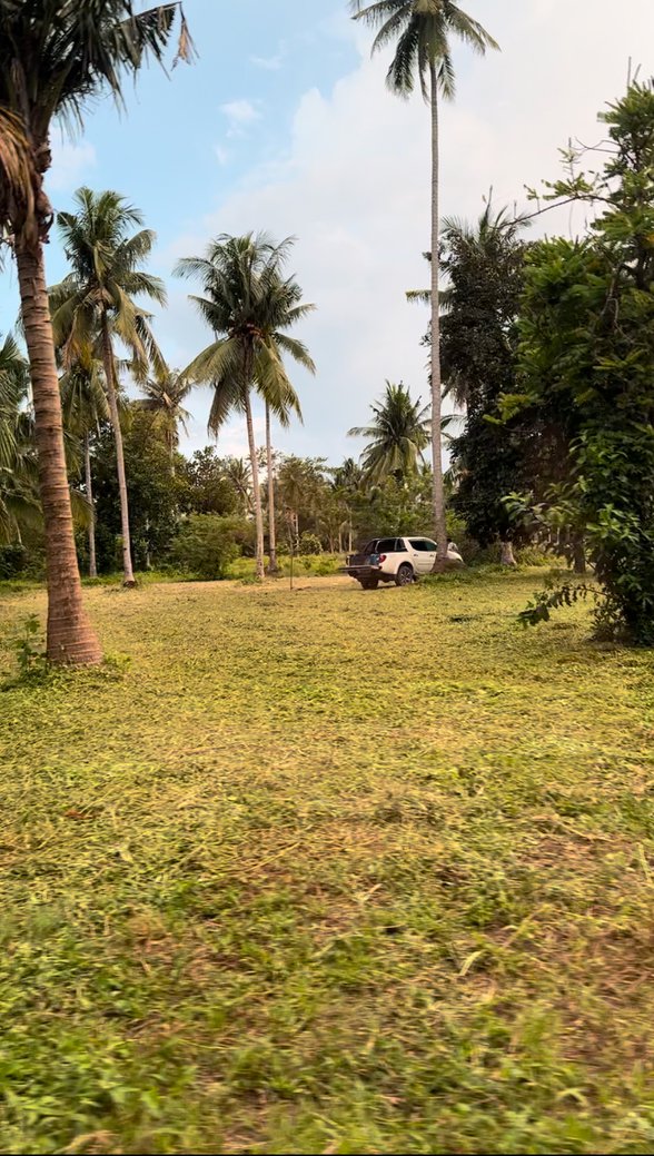 Lusacan Lot For Sale Tiaong Quezon [2 Properties] (April 2025) on ...