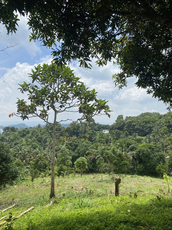 Camp Capinpin House And Lot For Sale Tanay Rizal [205 Properties ...