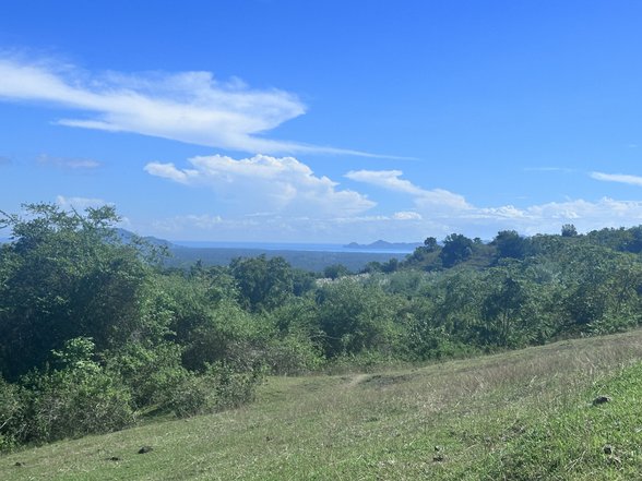 Properties For Sale Sulop Davao Del Sur [910 Properties] (July 2025) on ...