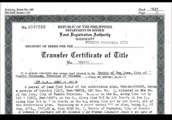 Clean Title Lot For Sale Roxas Palawan [217 Properties] (March 2025) on ...