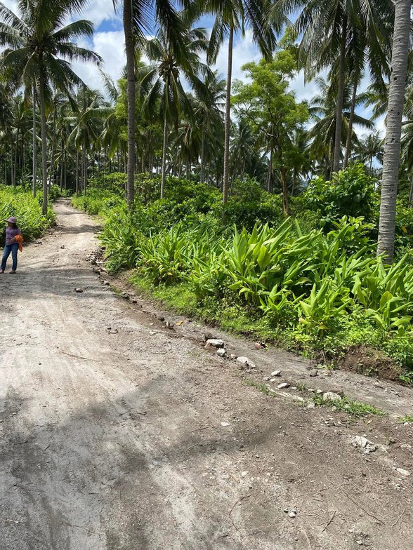 Ready For Occupancy Farm Lot For Sale Philippines [143 Properties ...