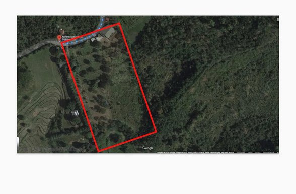 Bitungol Tree [3,080 Properties] (May 2025) on OnePropertee.com