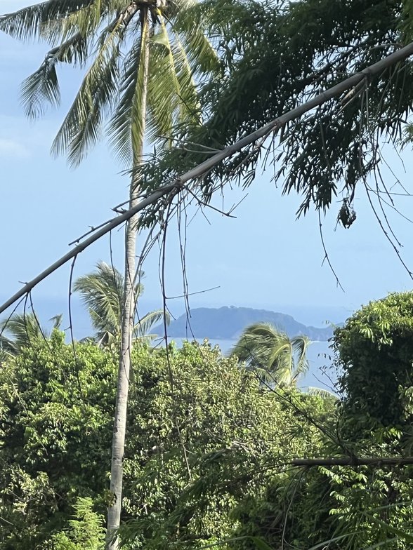 Agricultural Farm Lot For Sale Dauin Negros Oriental 🚜 [13 Properties ...