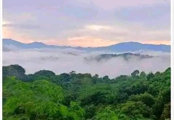 Di Malata Na Basura [4,009 Properties] (July 2024) on OnePropertee.com