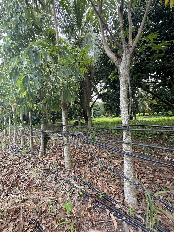 Residential Farm Lot For Sale Matanao Davao Del Sur [6 Properties ...