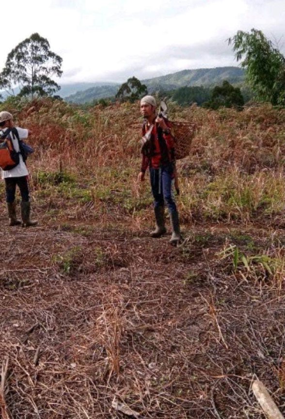 Square Meter Farm Lot For Sale Philippines [506 Properties] (May 2025 ...