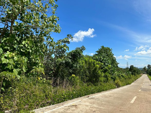 Tugbok Lot For Sale Davao City [49 Properties] (October 2025) on ...