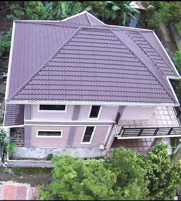 Properties For Sale Bindoy Payabon Negros Oriental [639 Properties ...