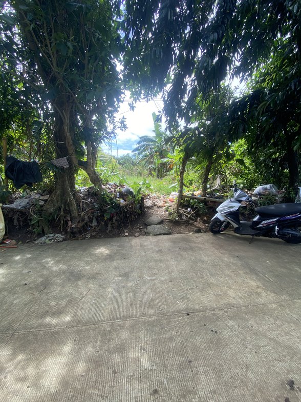Samara Malaoa Lot For Sale Tayabas Quezon [2 Properties] (May 2026) on ...